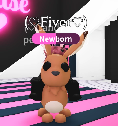 OMG YES I FINALLY GOT A R HARE | Fandom