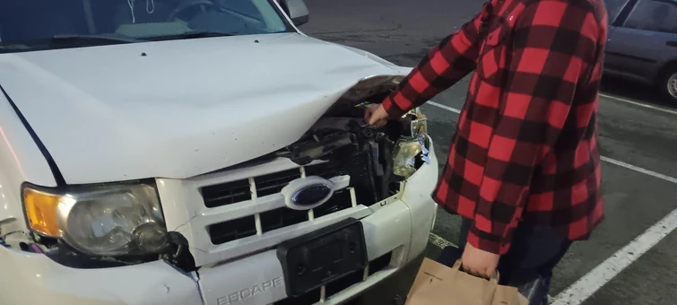 Attention Moderators | Fandom