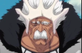 (God-King of Hueco Mundo) The Barragan Louisenbairn Experience | Fandom