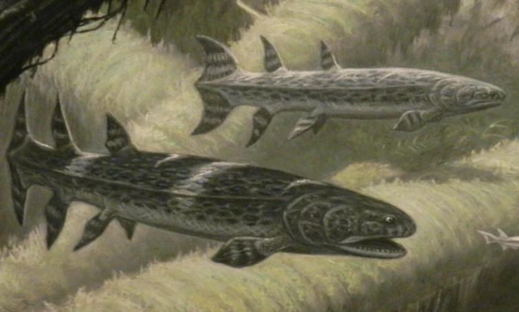 Discuss Everything About Dinopedia | Fandom