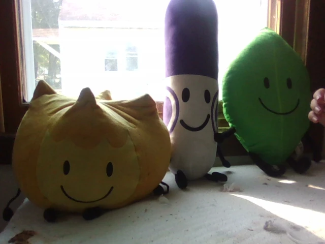 my bfb plush collection | Fandom