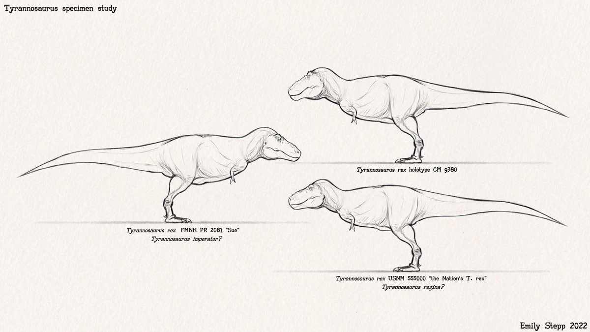 Aquí les dejo las dos "nuevas especies de Tyranosaurus Rex" imperator ...