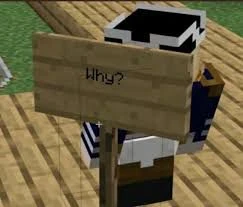 brb on my minecraft sign phase | Fandom