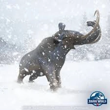 JWA hybrids versus their base genome | Fandom