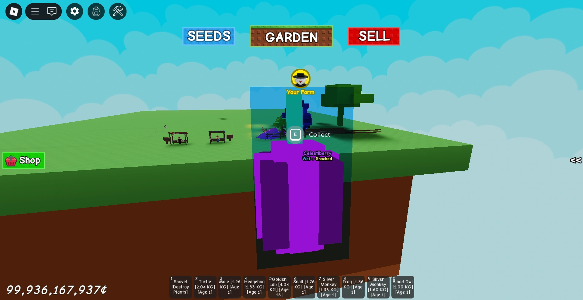 finally my moon melon can harvest | Fandom