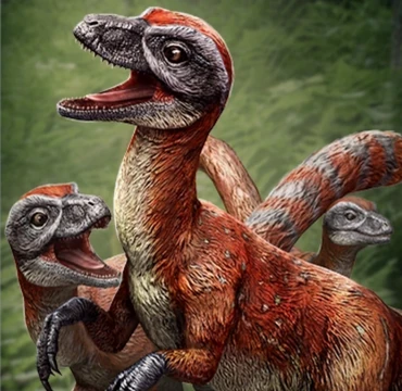 Which JWA Flock would you want as a Trio of Pets? | Fandom