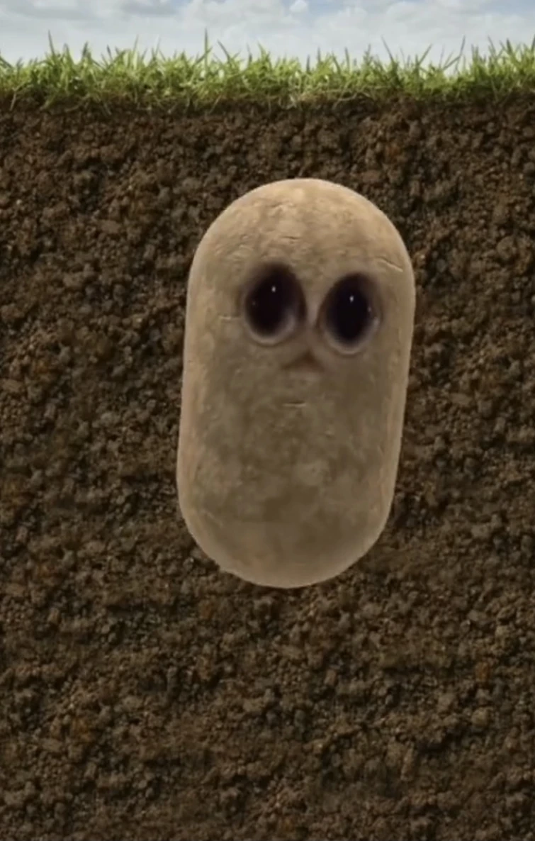 im back from school whoopee | Fandom