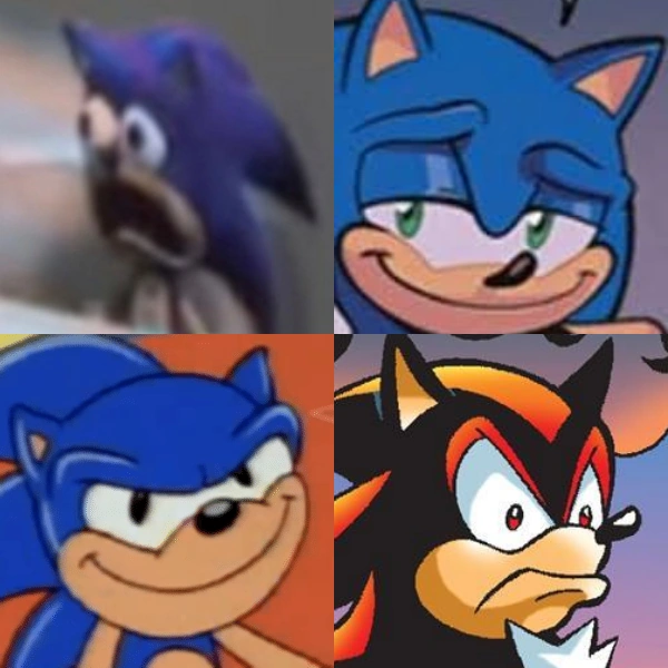The Four Horsemen Of Funny Sonic/Shadow Faces | Fandom