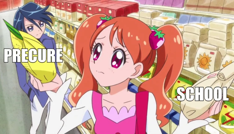PreCure Memes #13 | Fandom