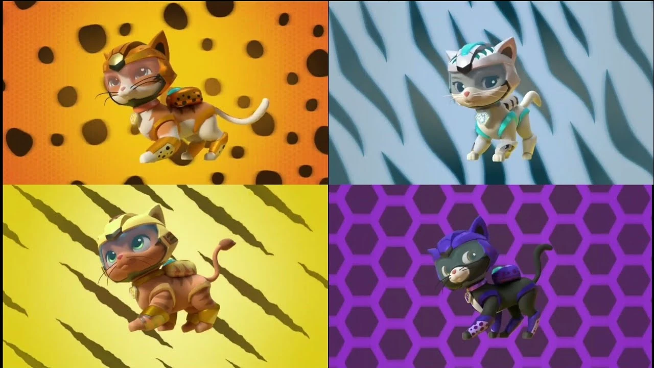 Cat pack gearing up | Fandom