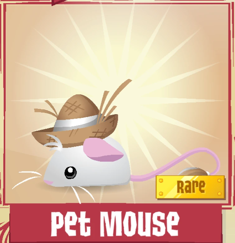 Discuss Everything About Animal Jam Item Worth Wiki | Fandom