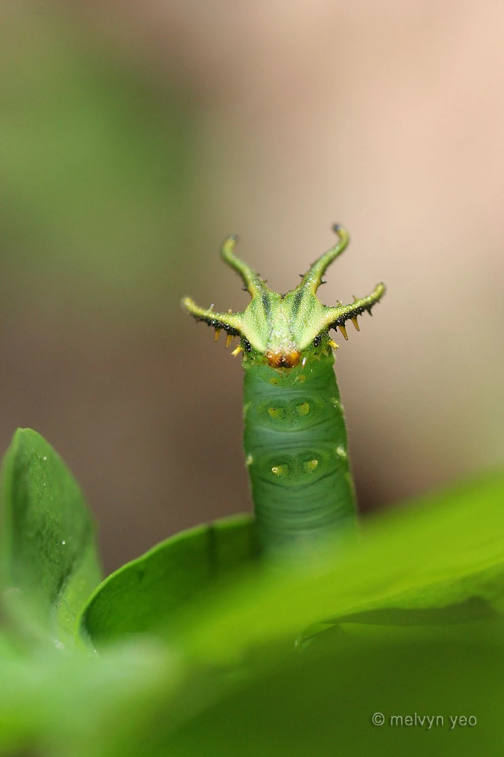 Doesn't it seem familiar? | Fandom