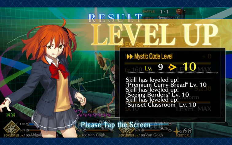 All Mystic Codes Maxed | Fandom