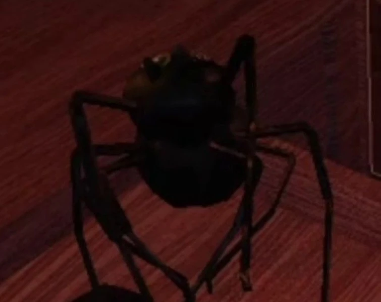 Oh hi mr Timothy | Fandom