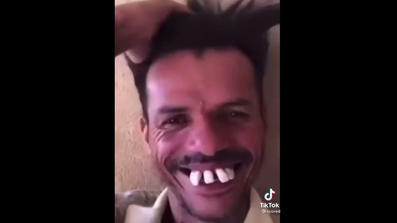 daily dose of shitposts | Fandom