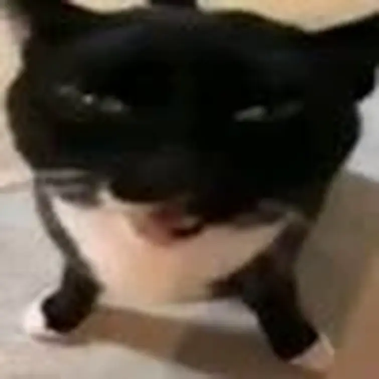 Congrats for winning the first round :> | Fandom