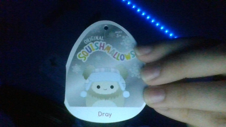 squish update | Fandom