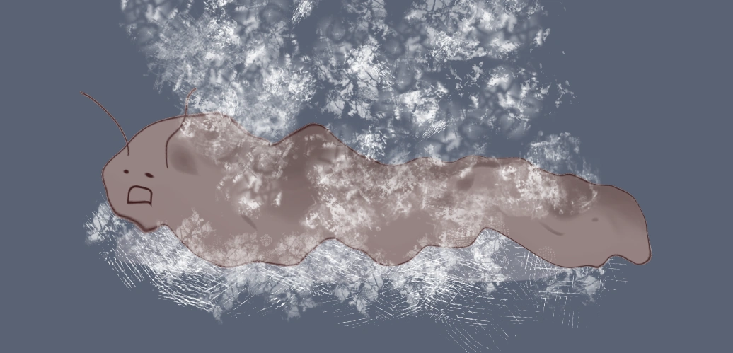 Salt covered slug | Fandom