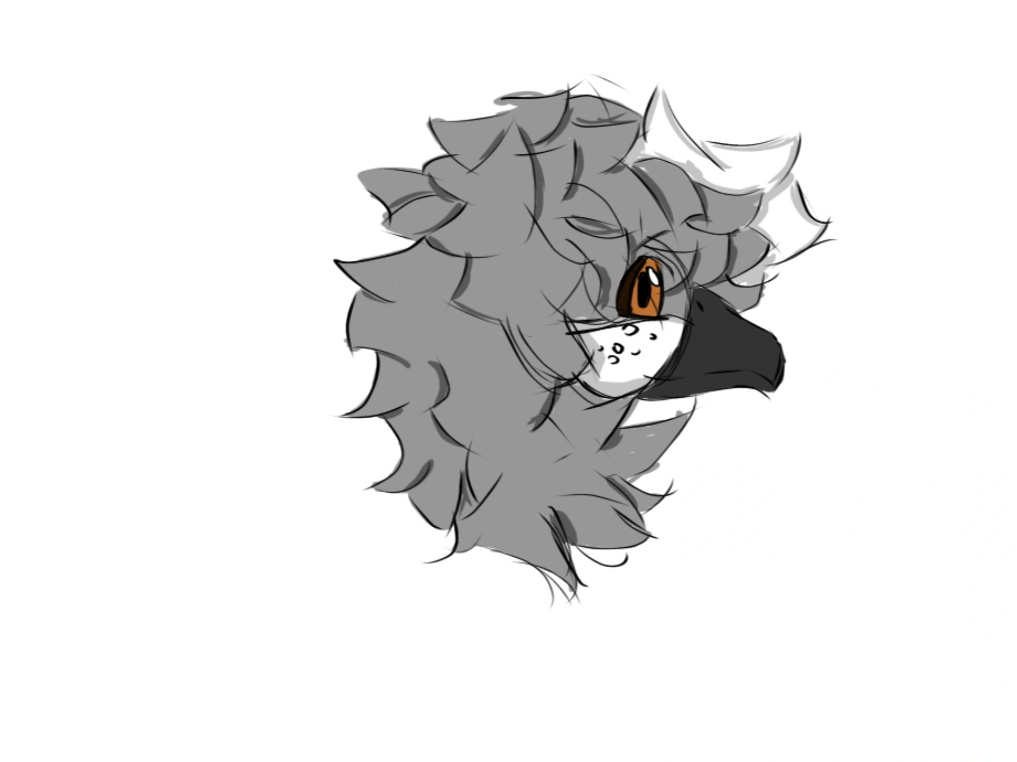 Did a quick drawing of my bird oc | Fandom