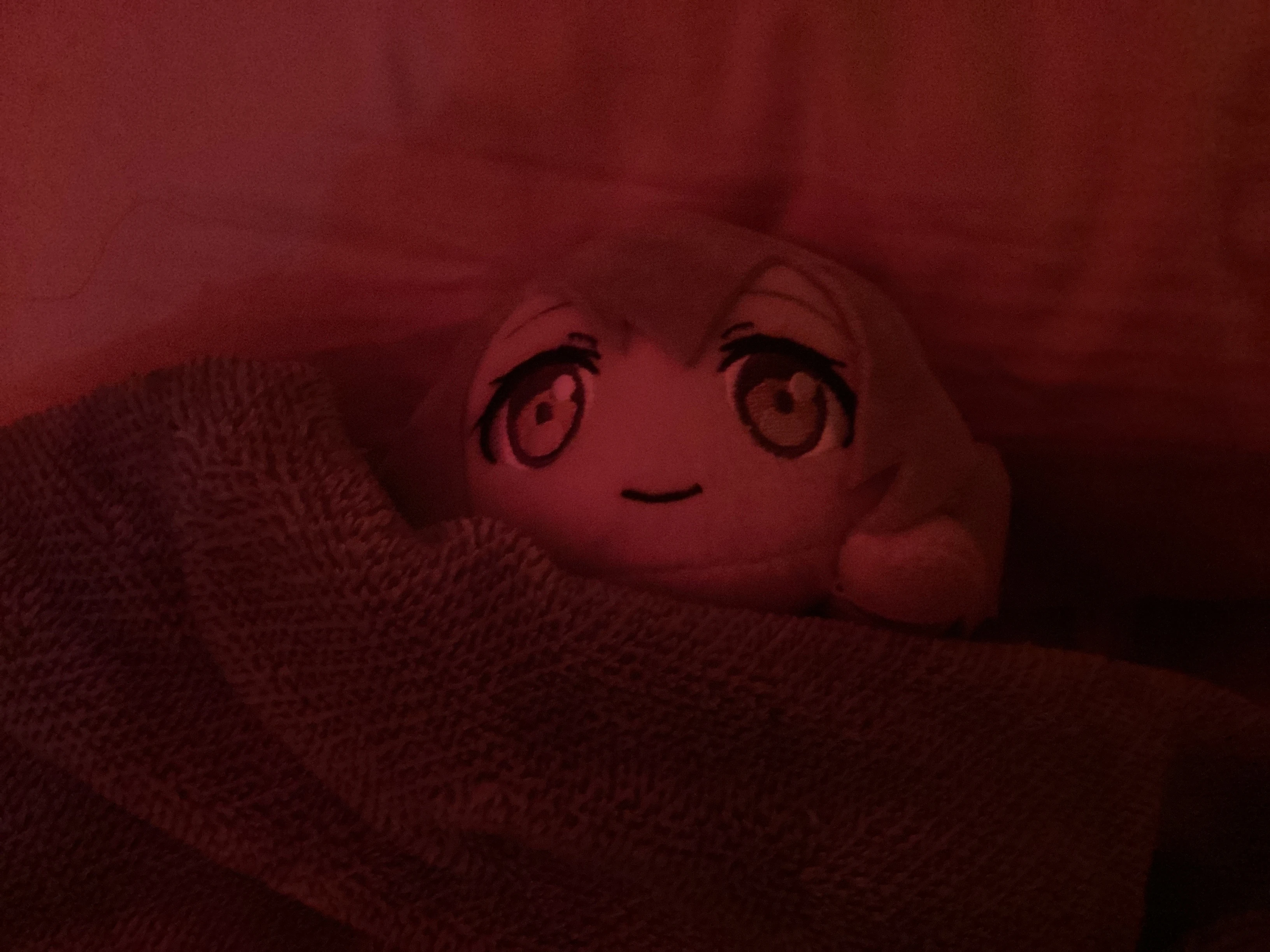 snug as a bug in a rug… | Fandom