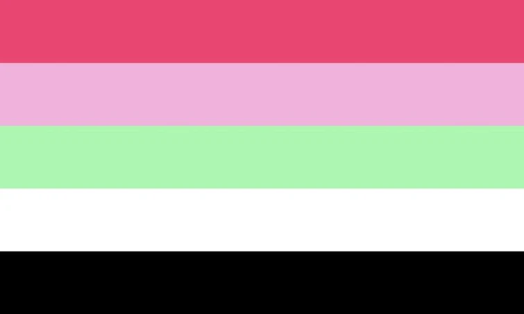 Is it just me, or is the recipromantic flag somewhat a watermelon? | Fandom