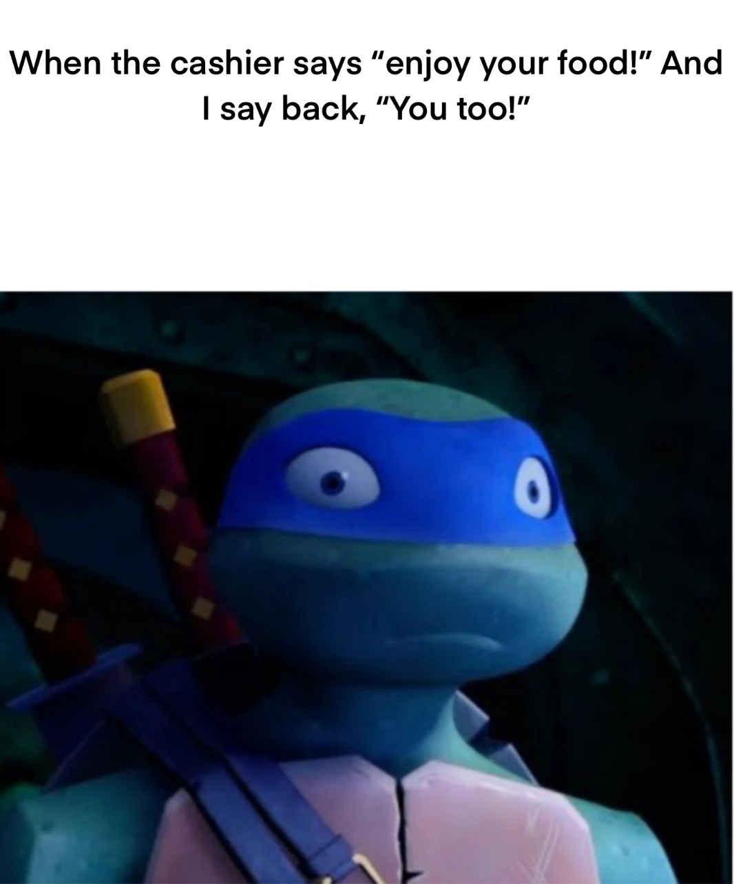 TMNT Meme Of The Day | Fandom
