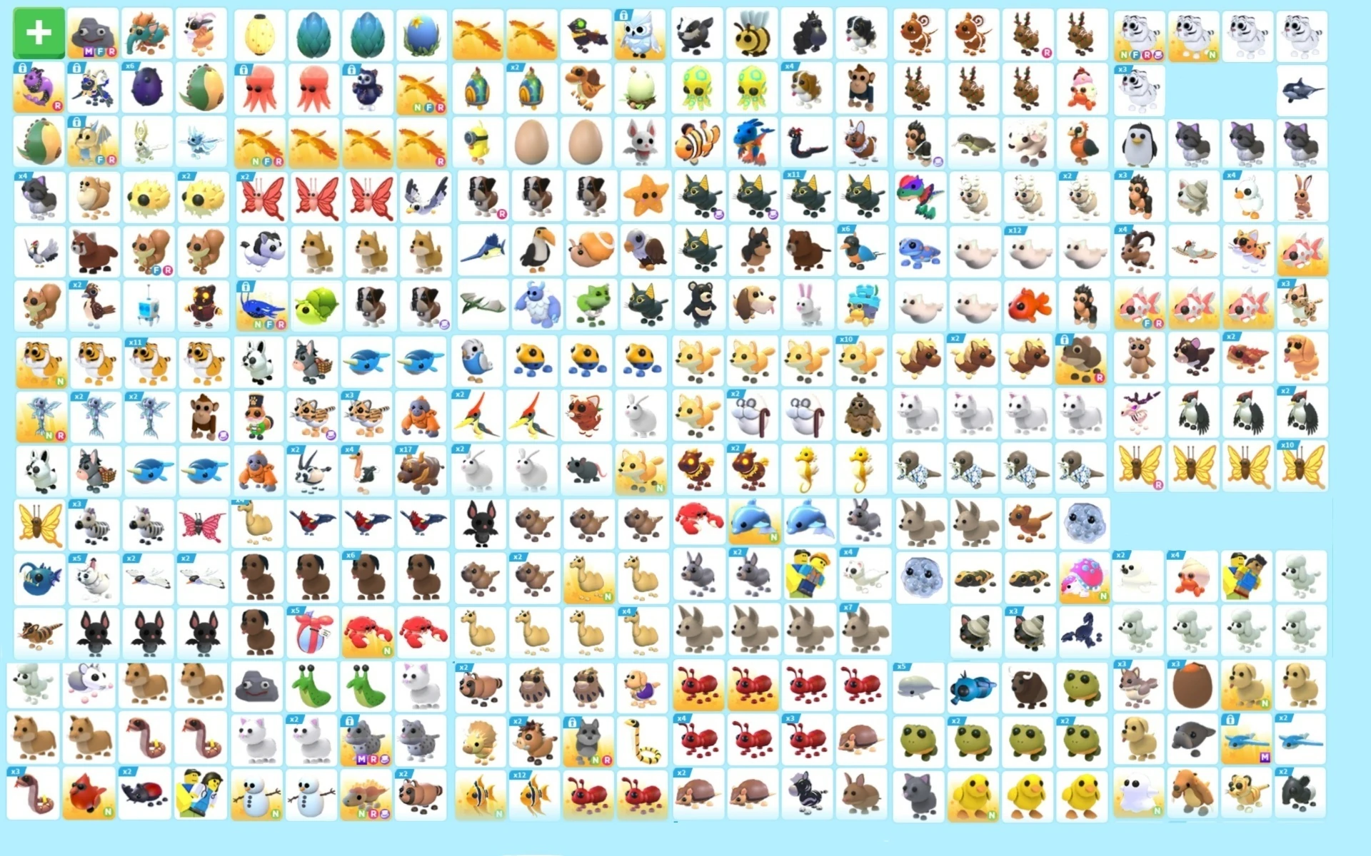 LF WILDFIRE HAWKS | Fandom