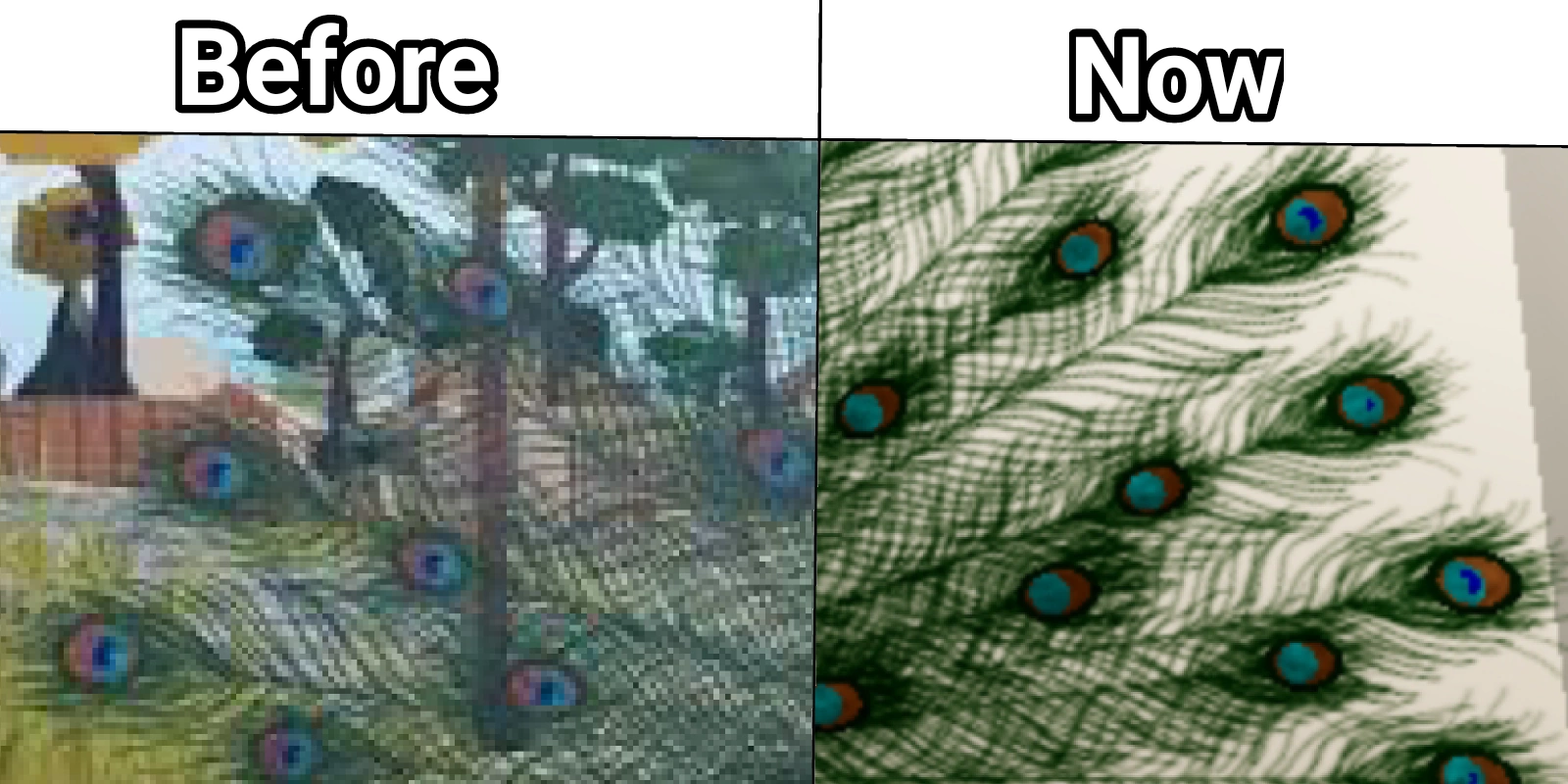 Peacock tail "eyes" problem. | Fandom