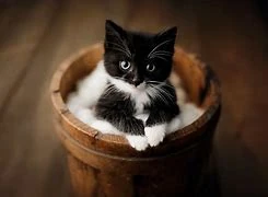 bruh after all the years and hardwork | Fandom