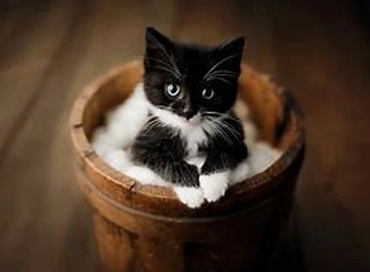 bruh after all the years and hardwork | Fandom