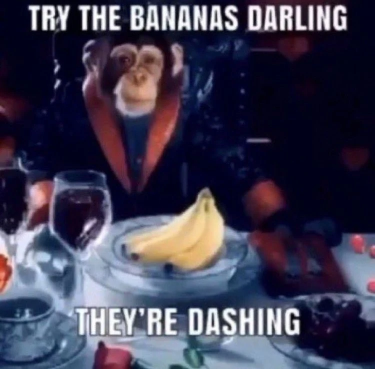 going bonkers | Fandom