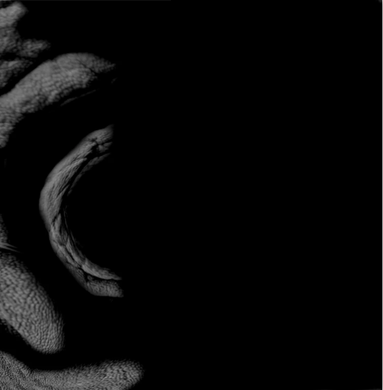 Possible Phase 201 origin | Fandom