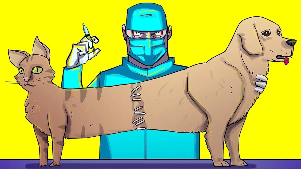 This explains EVERYTHING | Fandom