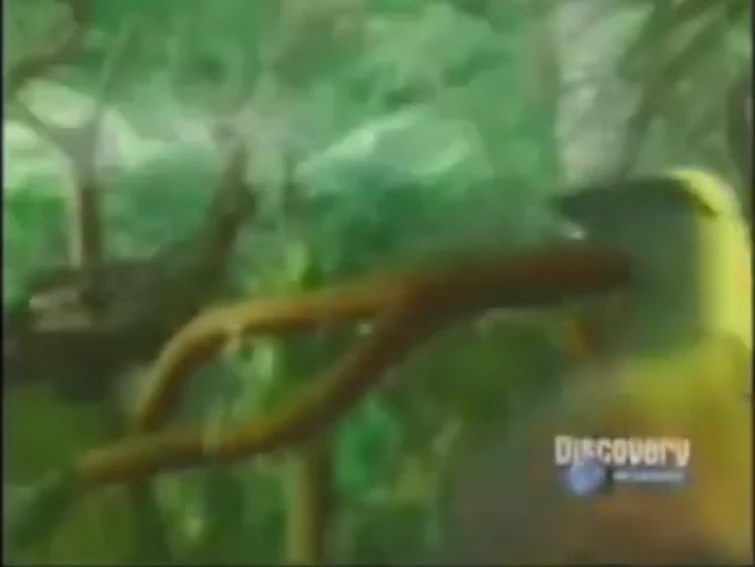 new animals in the future is wild animal planet/discovery channel ...