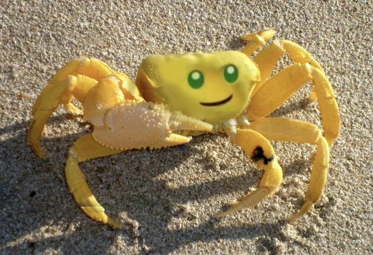 Goofy ninjago images cuz why not :) | Fandom