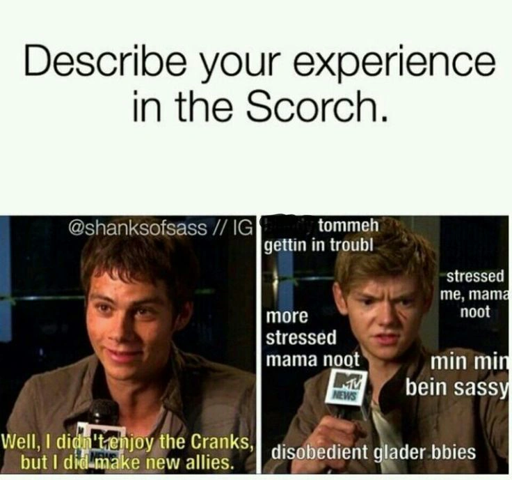 Kinda copying @Potatoshank, but here are some maze runner memes ...