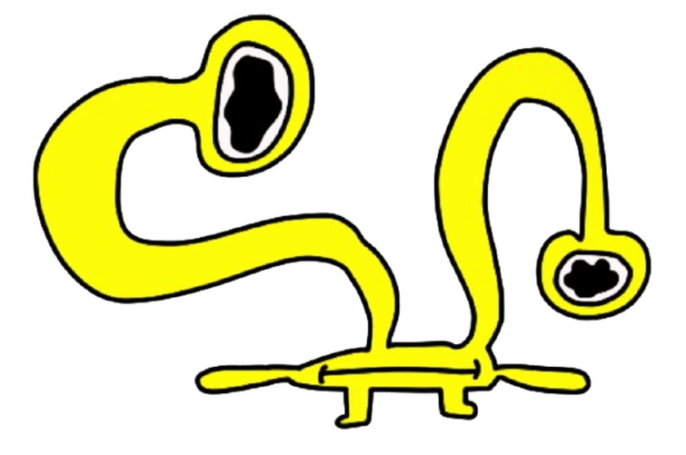 Interminable Hypothermia (Section E) | Fandom