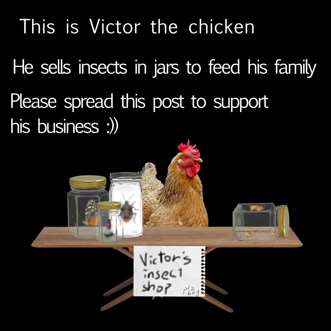 Victor’s insect shop | Fandom