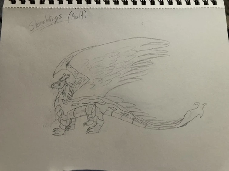 StoneWing drawings. (Dragonet) | Fandom