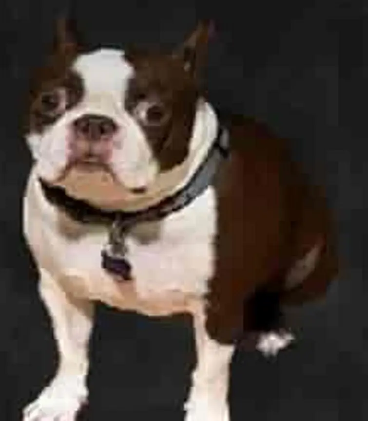 Discuss Everything About Arcane Odyssey Wiki | Fandom