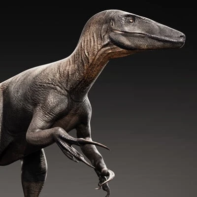 how accurate is Beasts of Bermuda part 1 (Megaraptor) (also making part ...