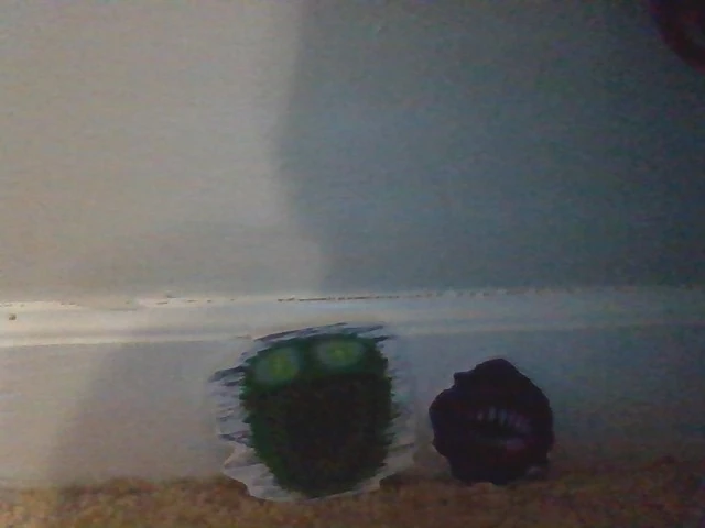 hello I just printed greed, nightmare surge | Fandom