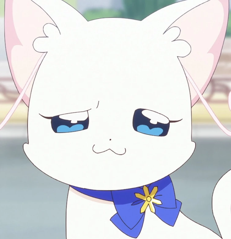 Wonderful PreCure has a cat Precure. About cats and Japanese culture ...