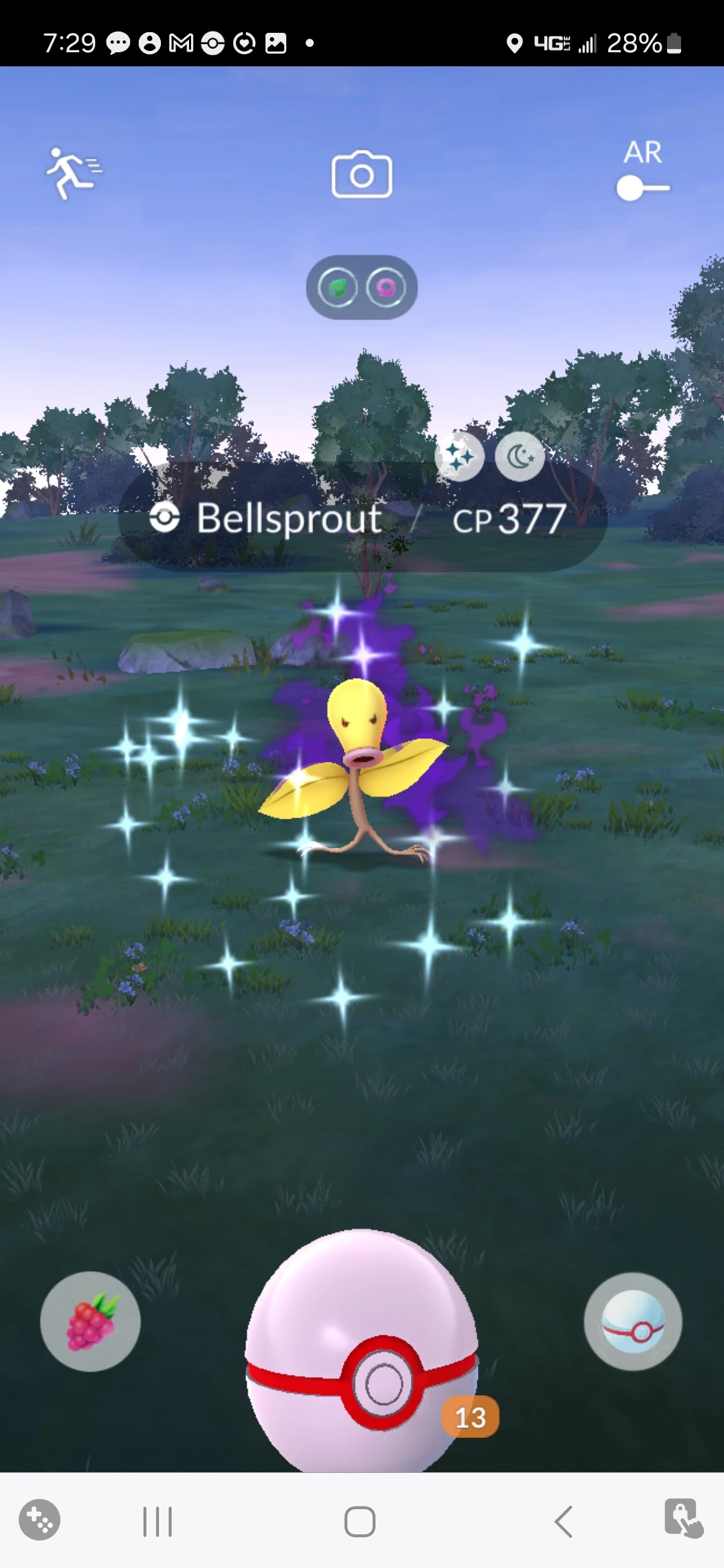 14 14 14 Shiny Shadow Bellsprout from Decoy Grunt! | Fandom