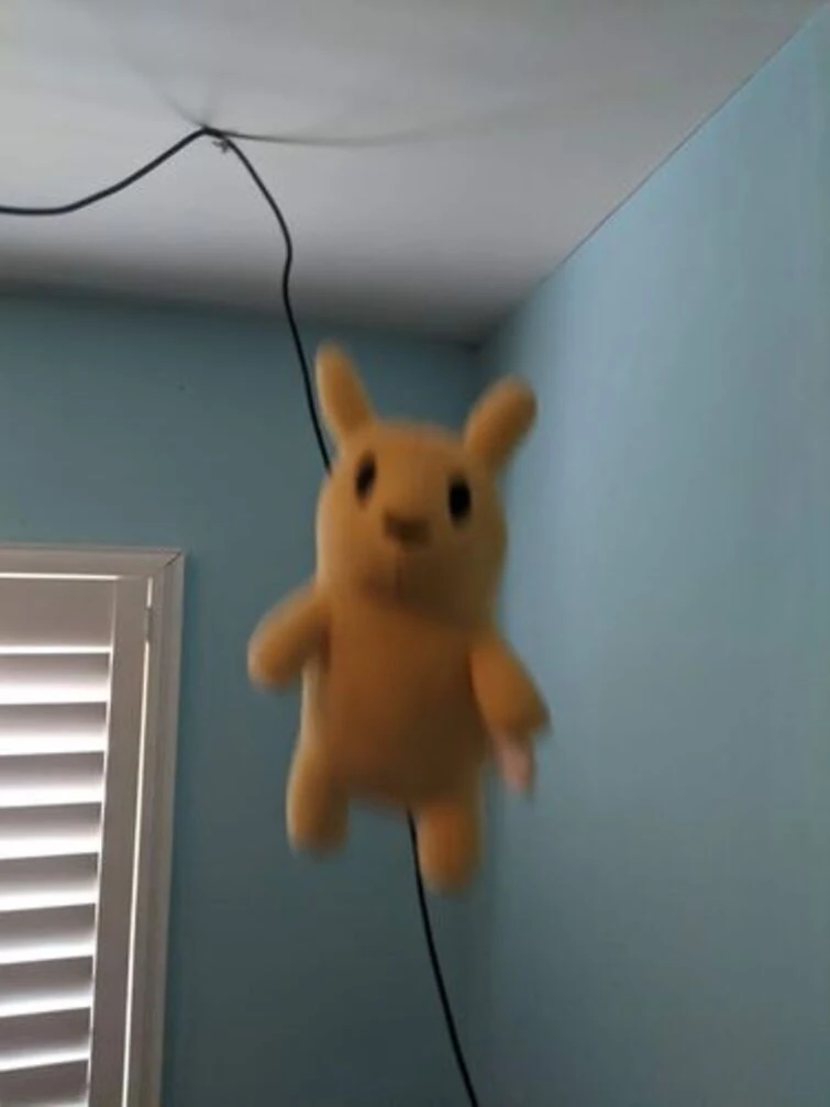 guys help me | Fandom