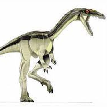 Discuss Everything About Dinopedia | Fandom