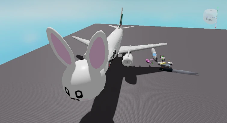 Bunny airplane | Fandom