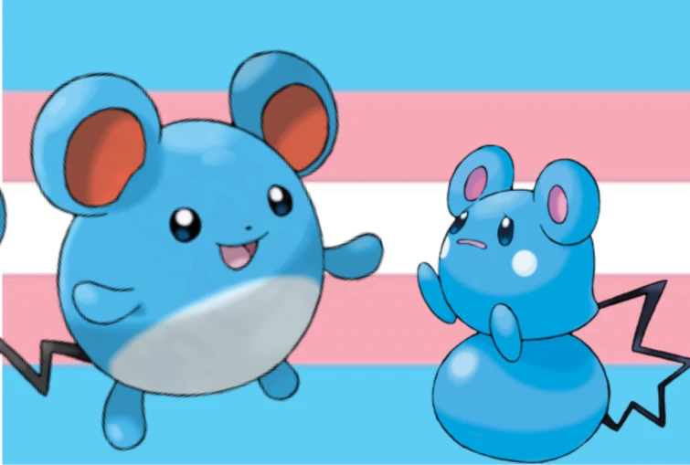 trans marill | Fandom