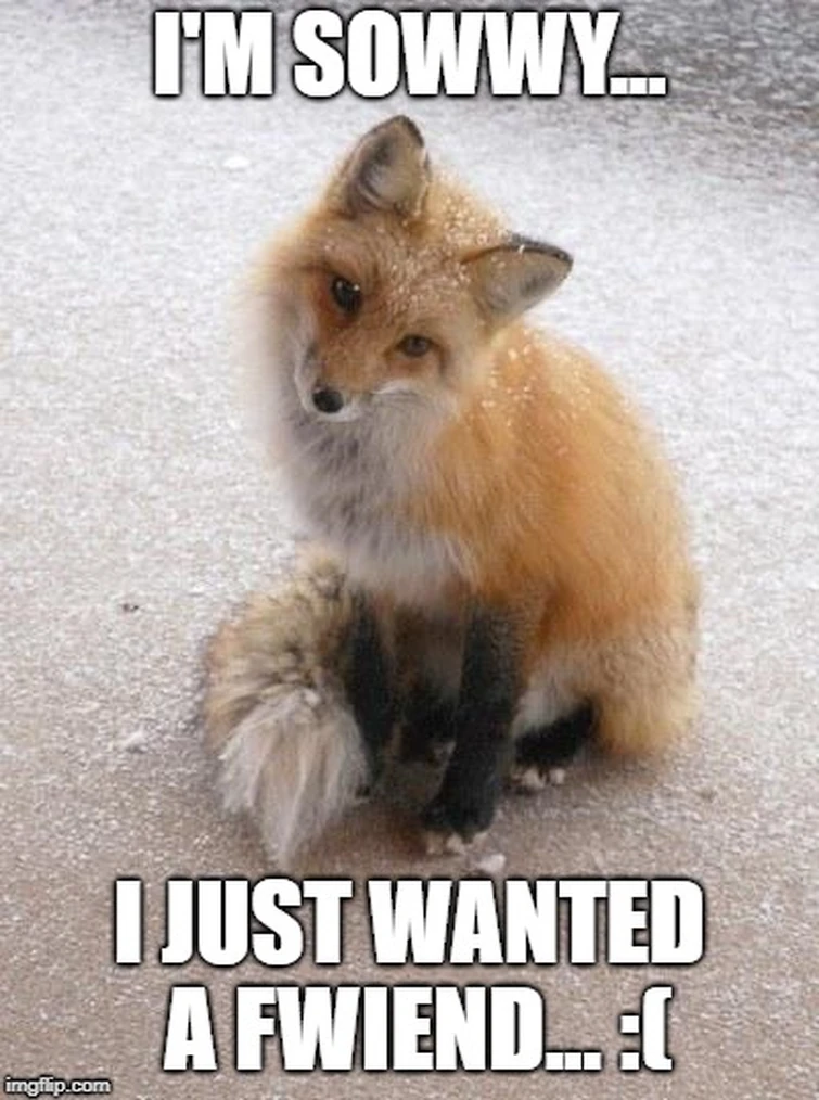 Fox meme | Fandom