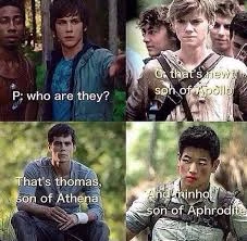 Maze runner memes | Fandom